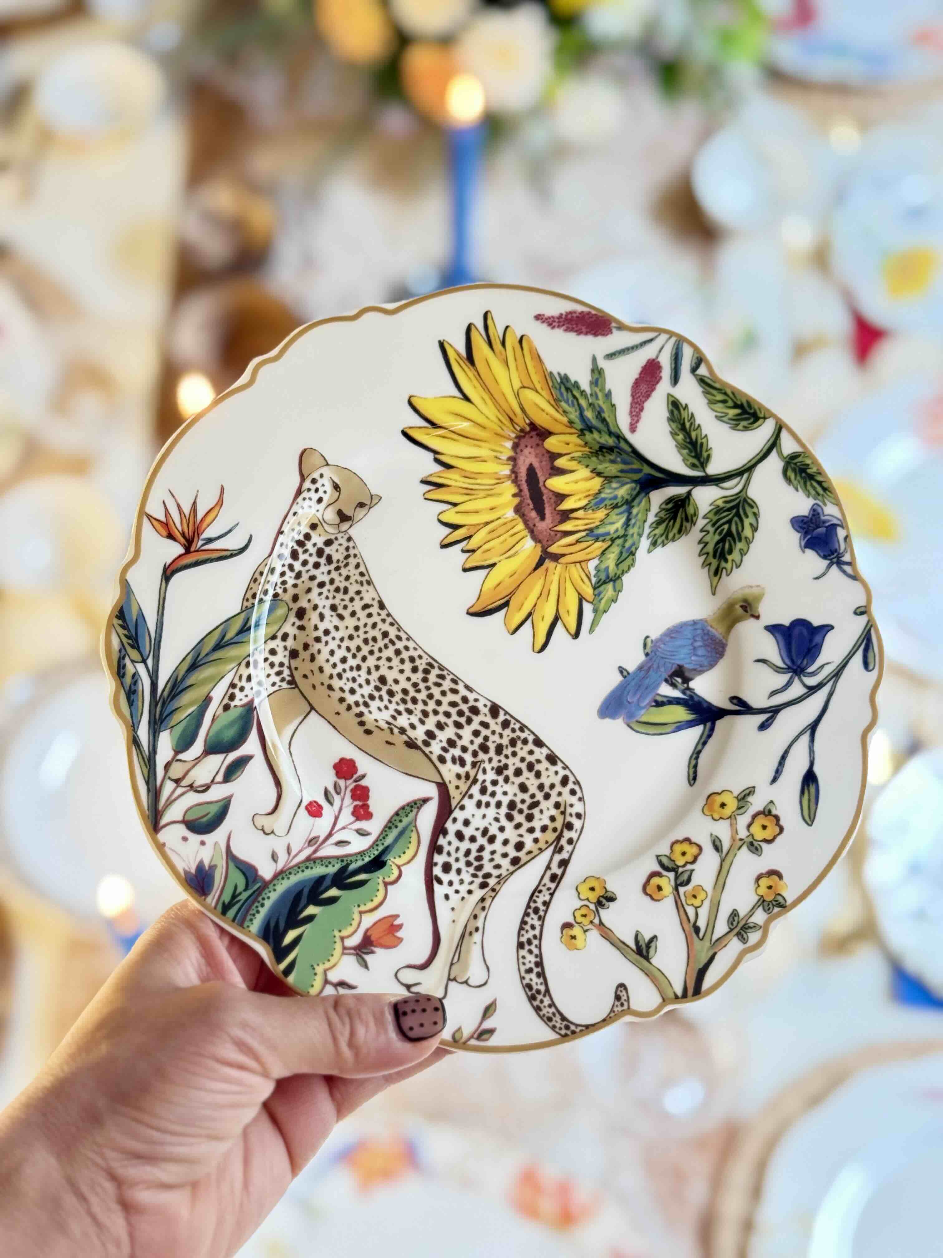 Devnow International