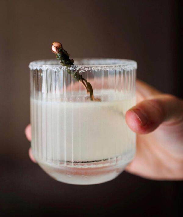 Devnow Firenze DOF Tumbler Glass,330ml | Devnow International