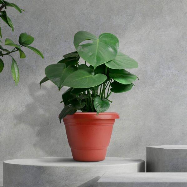 EVEREST DX POT 25.4 CM (10") SEMI BROWN | GARDENS NEED