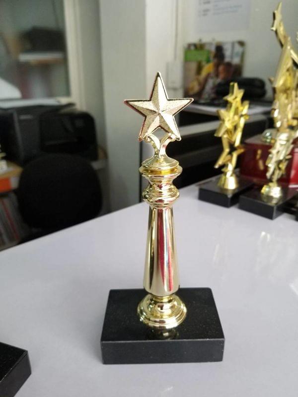 Star Monument Stem | Taylor's Artmedia Awards Limited
