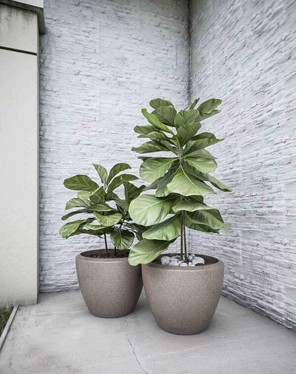 Premium range polymer planter large size | Chrisbottlecrafters garden ...