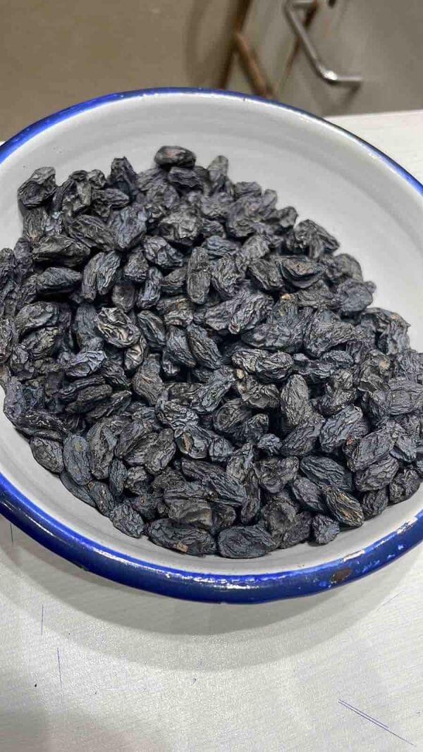 RAISINS & APRICOT | Hindustan Foreign Traders