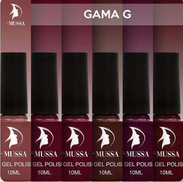 Gama 6 tonos | Mayoreo Luz María