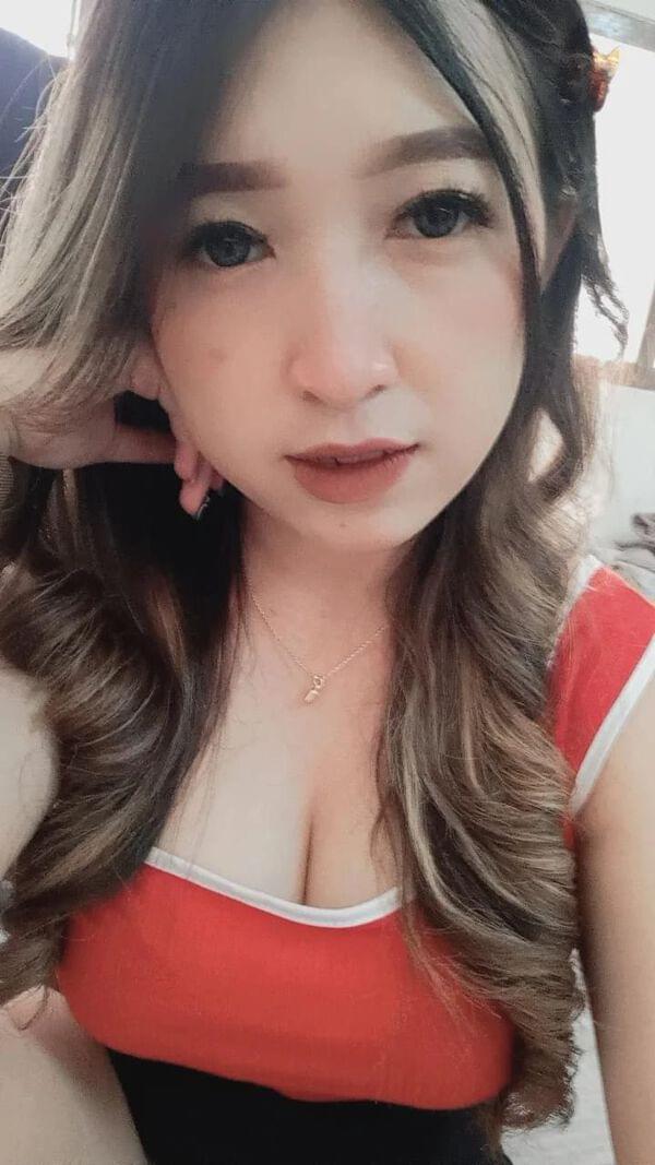 Prima Reflexy | Prima Reflexy