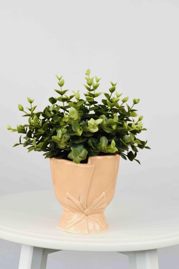 H5.5'' D5'' | DNF Ceramics