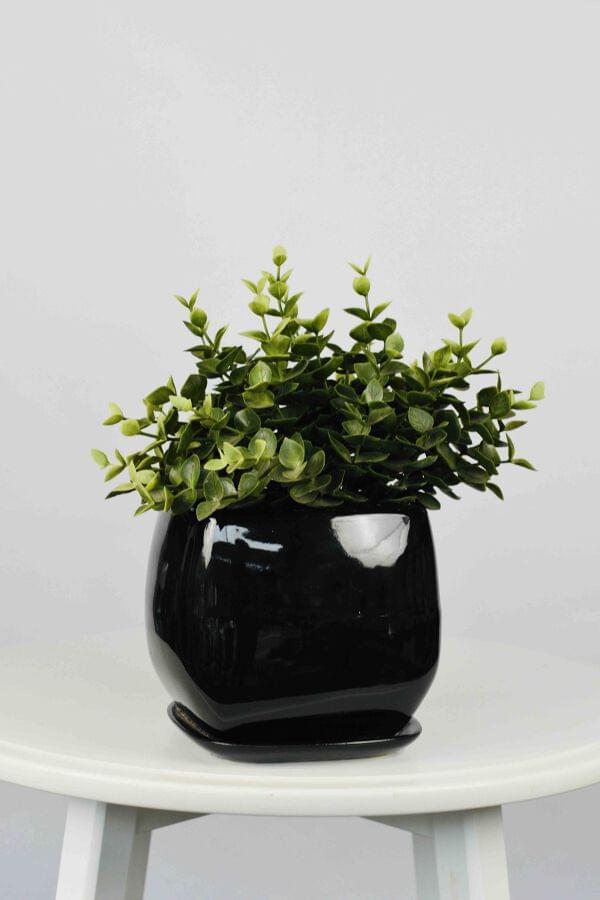 H5'' D5'' | DNF Ceramics