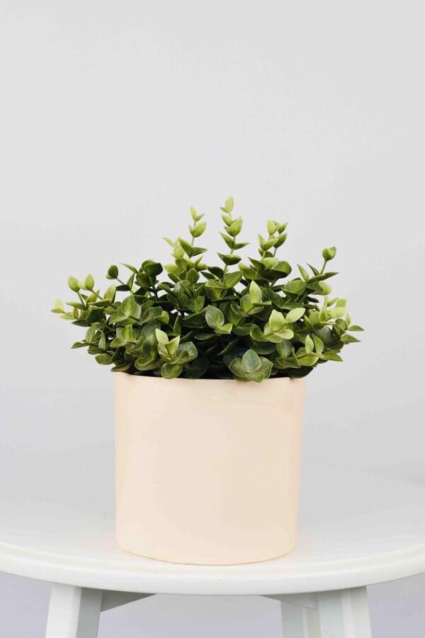 H5'' D6'' | DNF Ceramics