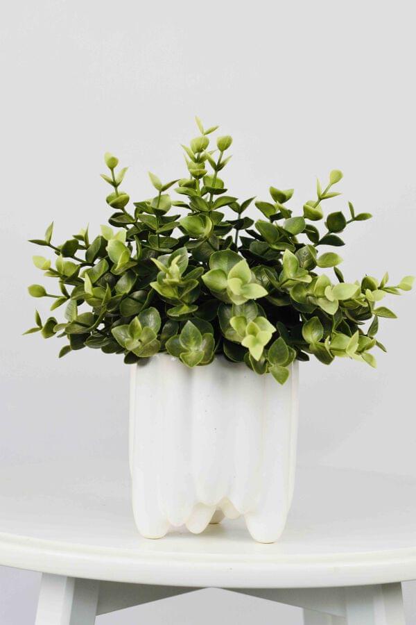 H5'' D4.5'' | DNF Ceramics