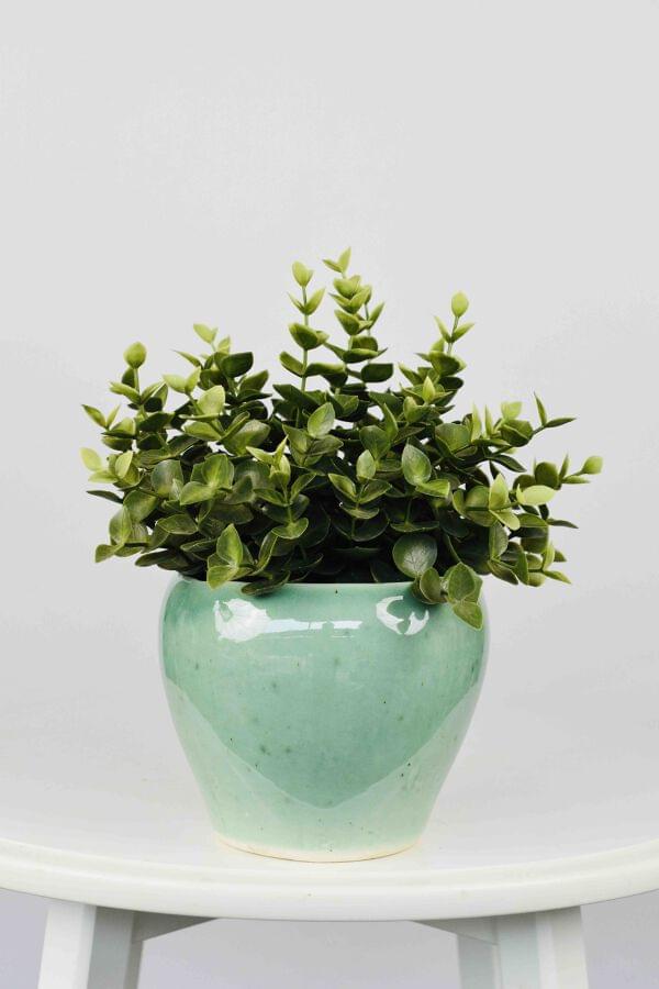 H5'' D6'' | DNF Ceramics