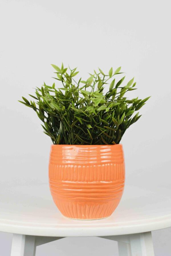 H5'' D5'' | DNF Ceramics