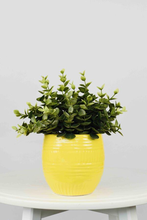 H5'' D5'' | DNF Ceramics