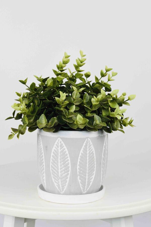 H5.5'' D5.5'' | DNF Ceramics