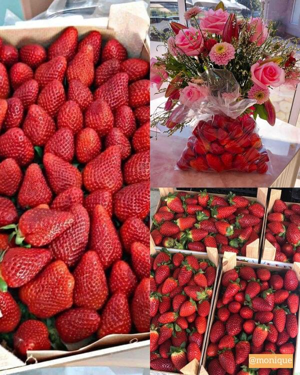 🍓AARBEIE 1KG🍓 | Devon & Monique Winskopies